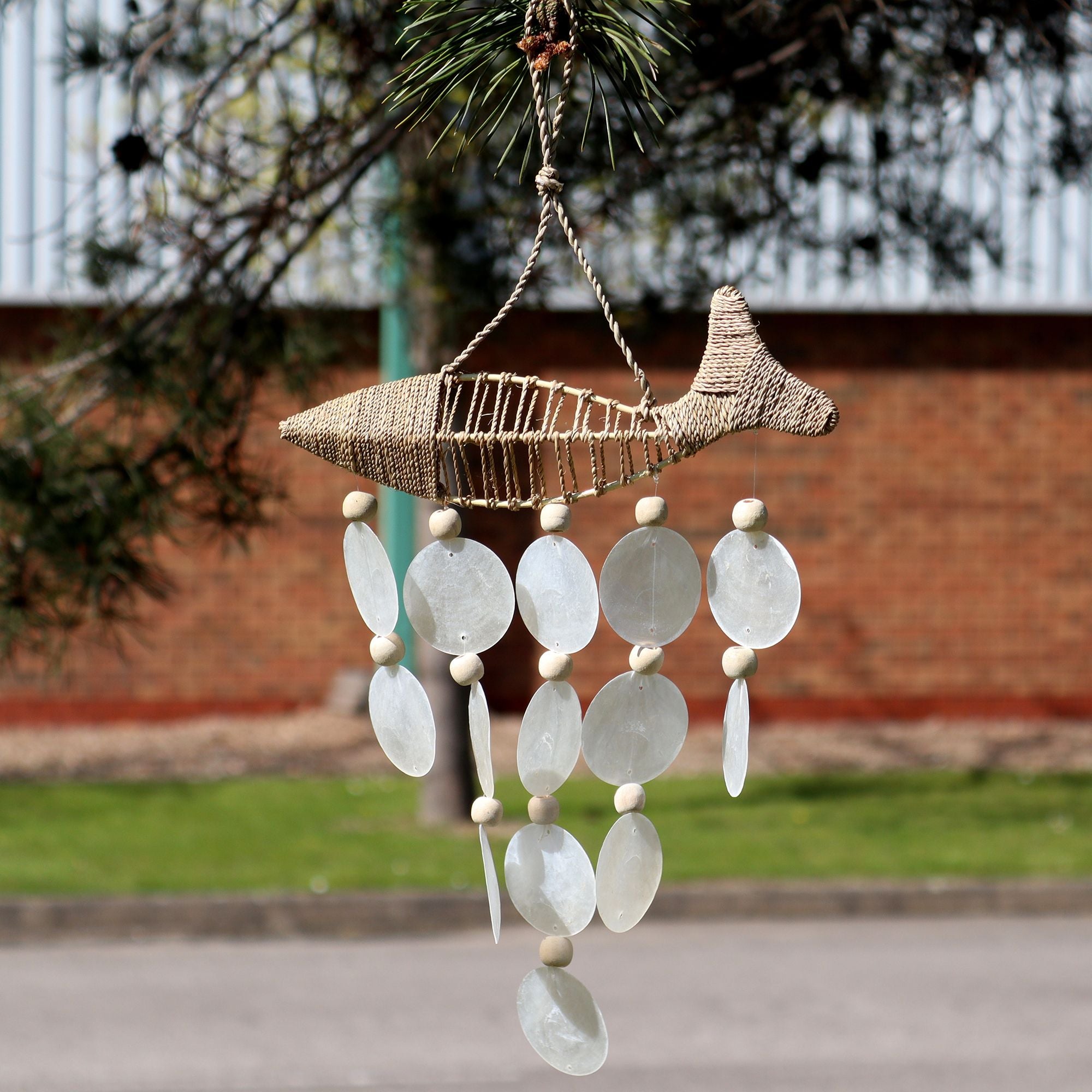 String Fish with Natural Copis Drop – Buy Now!