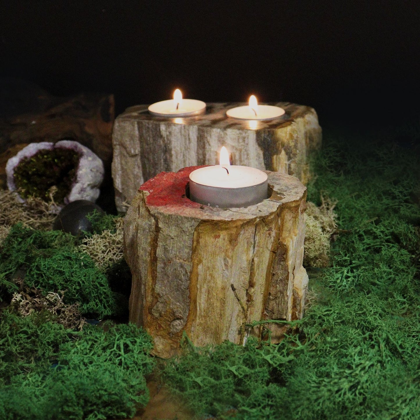 Petrified Wood Candle Holder - Single